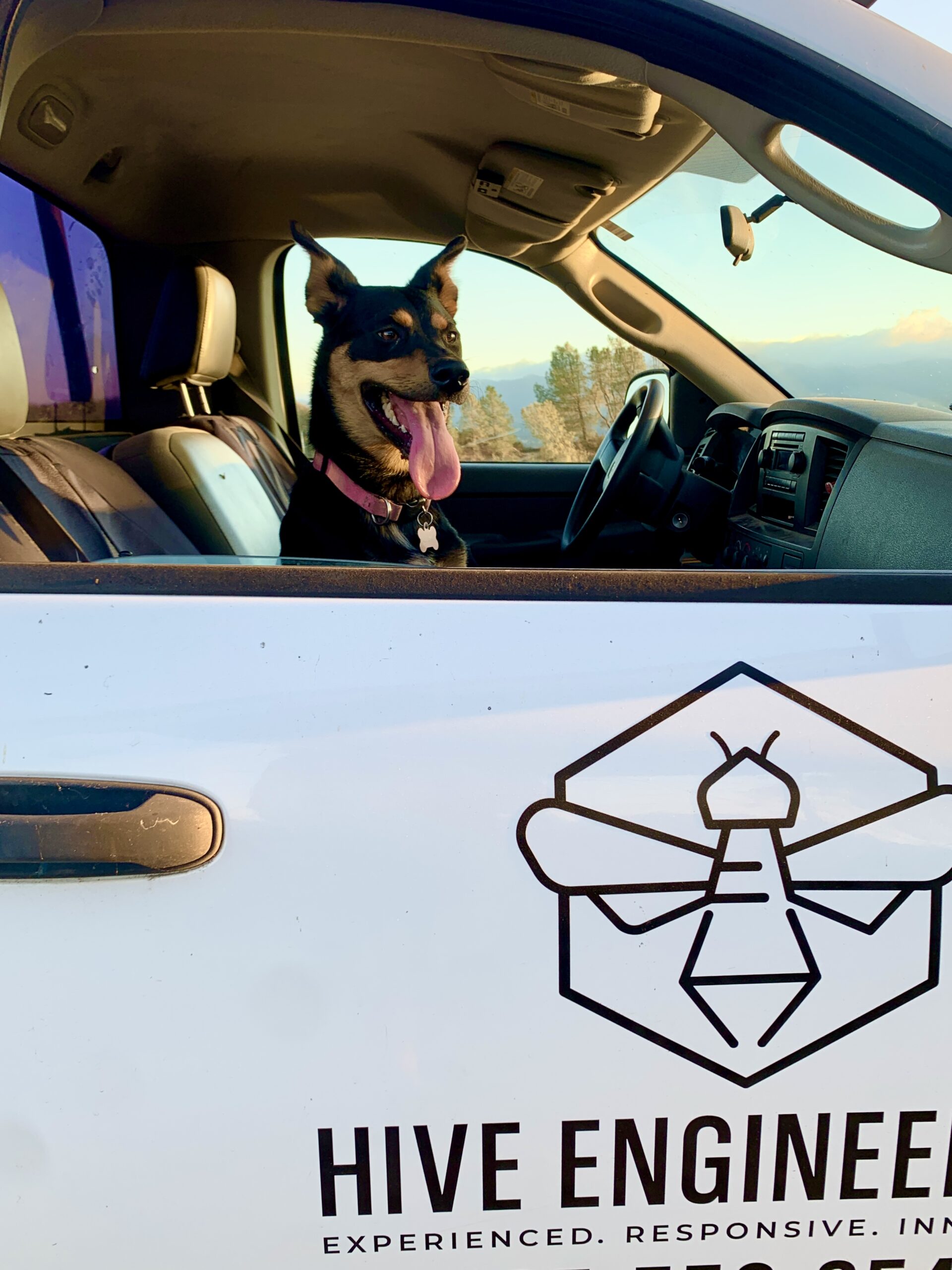 Hive Engineering – Civil Engineering, Construction Management, Program ...